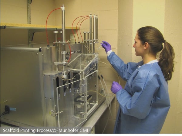 Tissue Engineering Projects