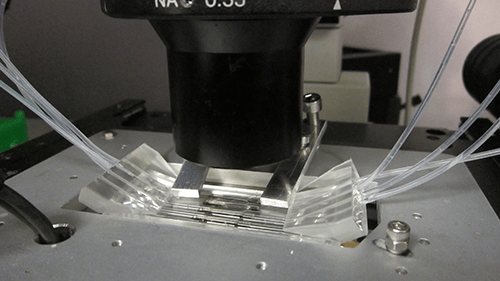 In Vitro Diagnostics Projects